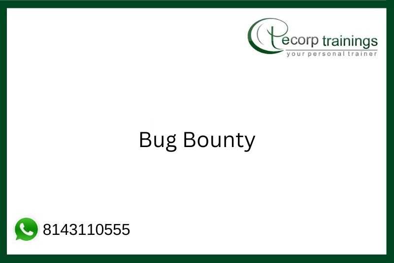 Bug Bounty Training Hyderabad india - Ecorp Trainings