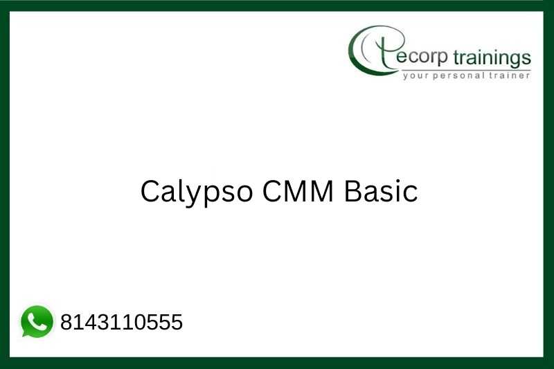 Calypso CMM Training Hyderabad india - Ecorp Trainings