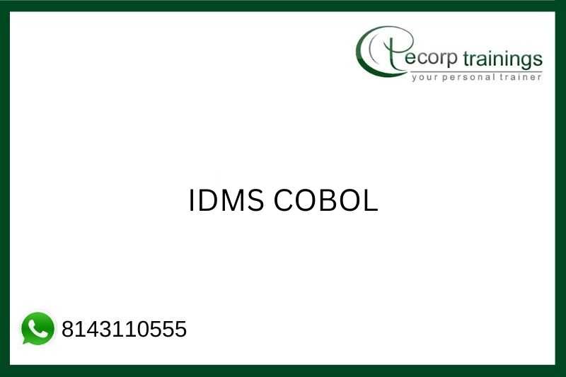 IDMS (Integrated Database Management System) Batch COBOL Programming ...