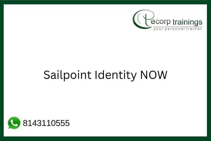 SailPoint IdentityNow Training Course