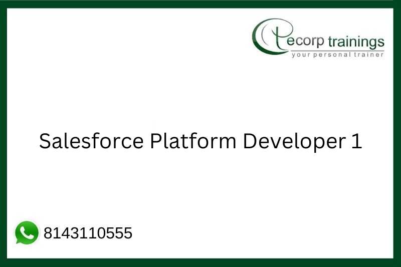 Salesforce Platform Developer 1 Certification Training Hyderabad India
