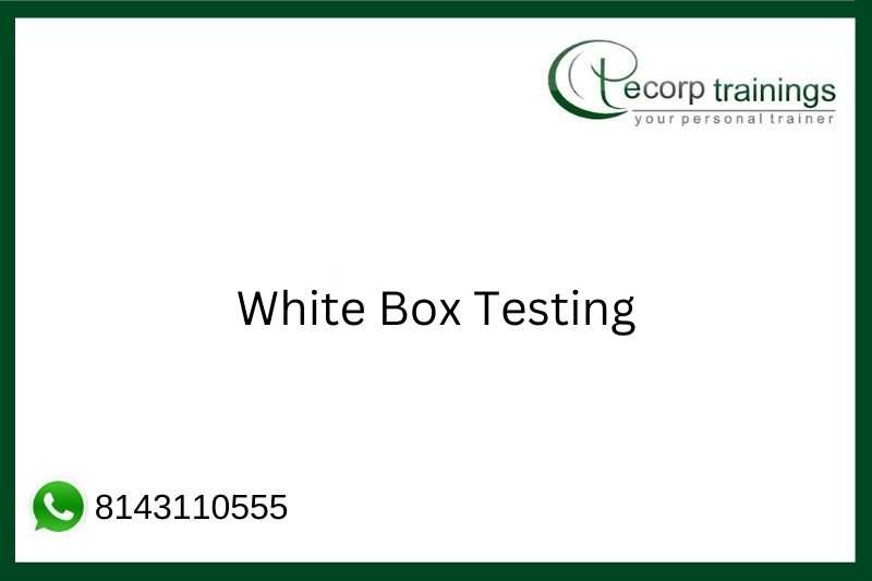 White Box Testing Training Hyderabad india - Ecorp Trainings